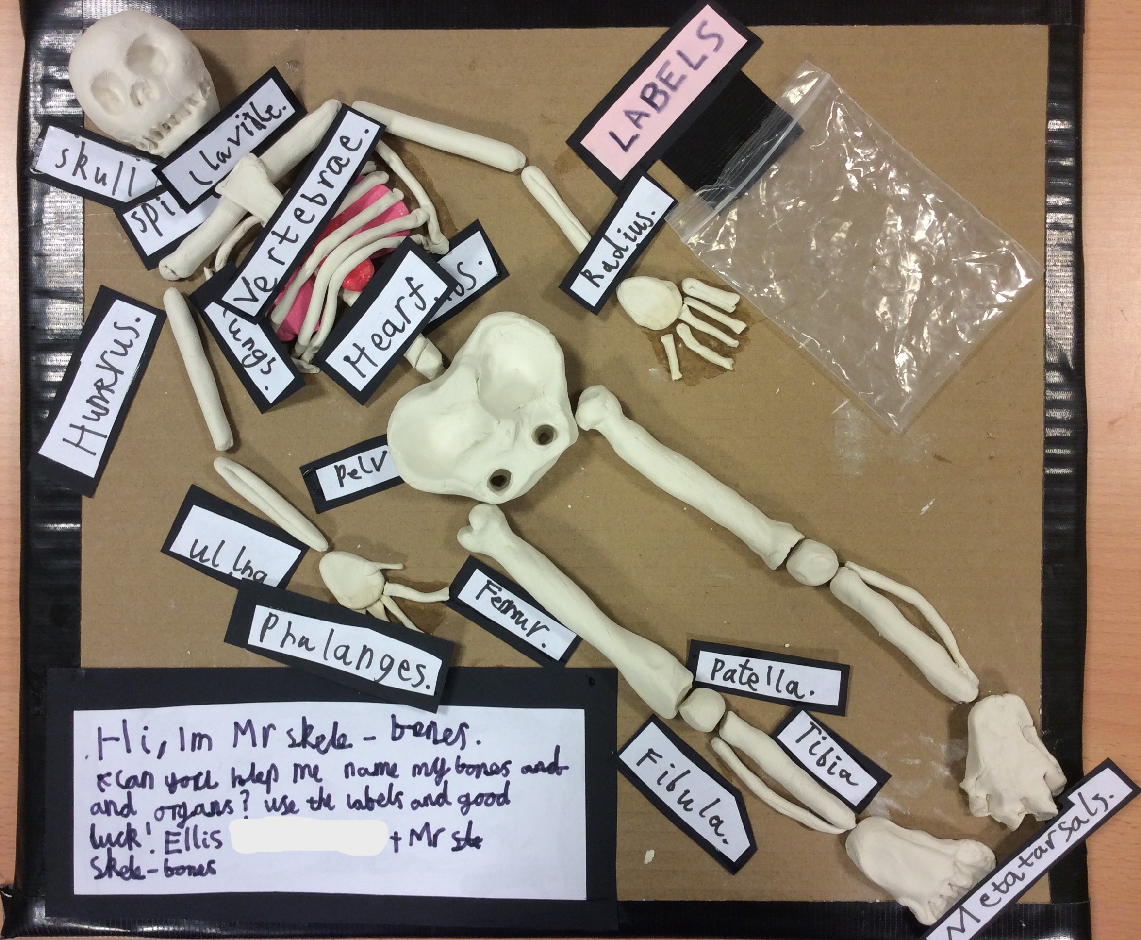 Squirrel Class - All Saints' CE