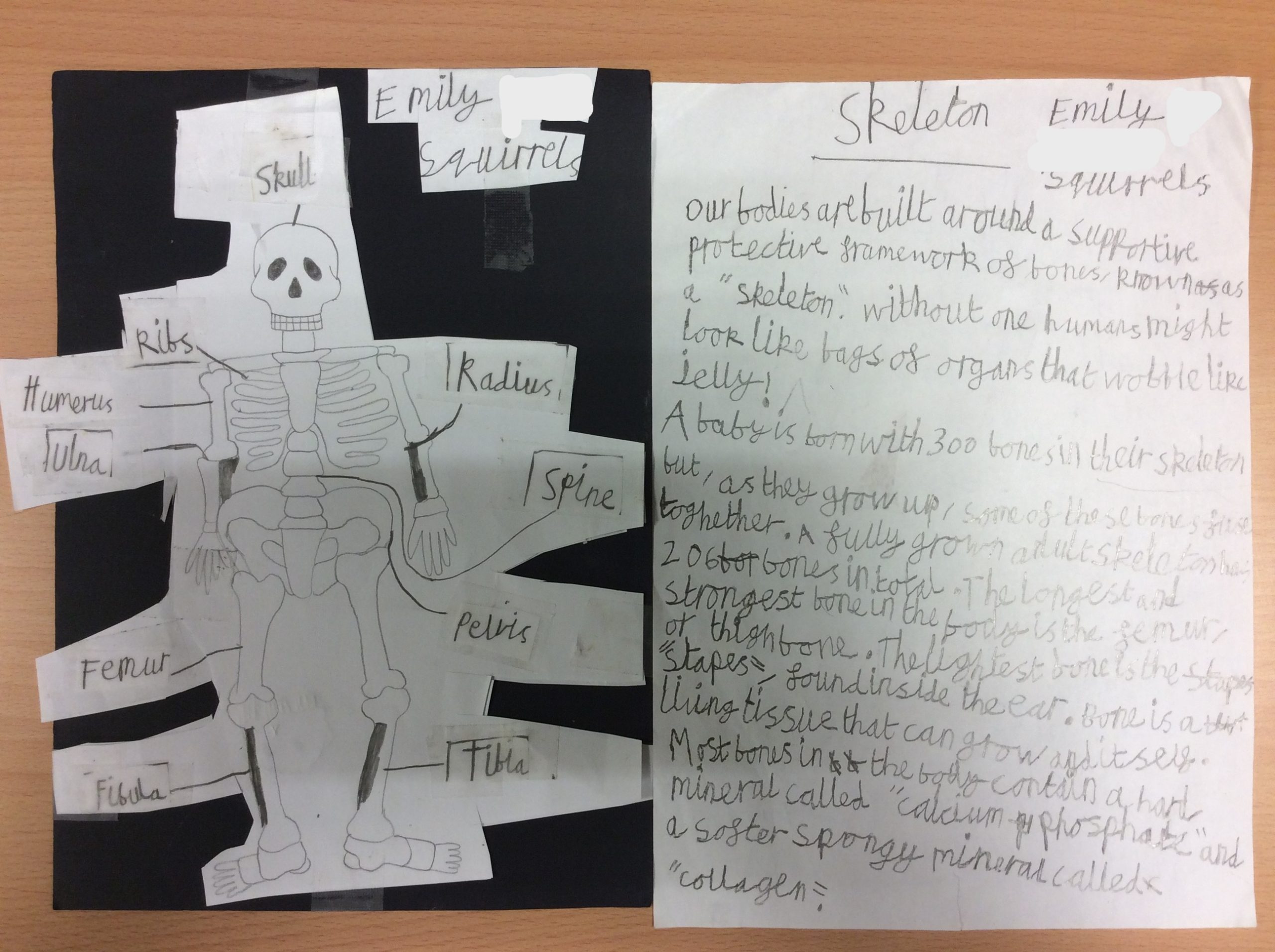 Squirrel Class - All Saints' CE