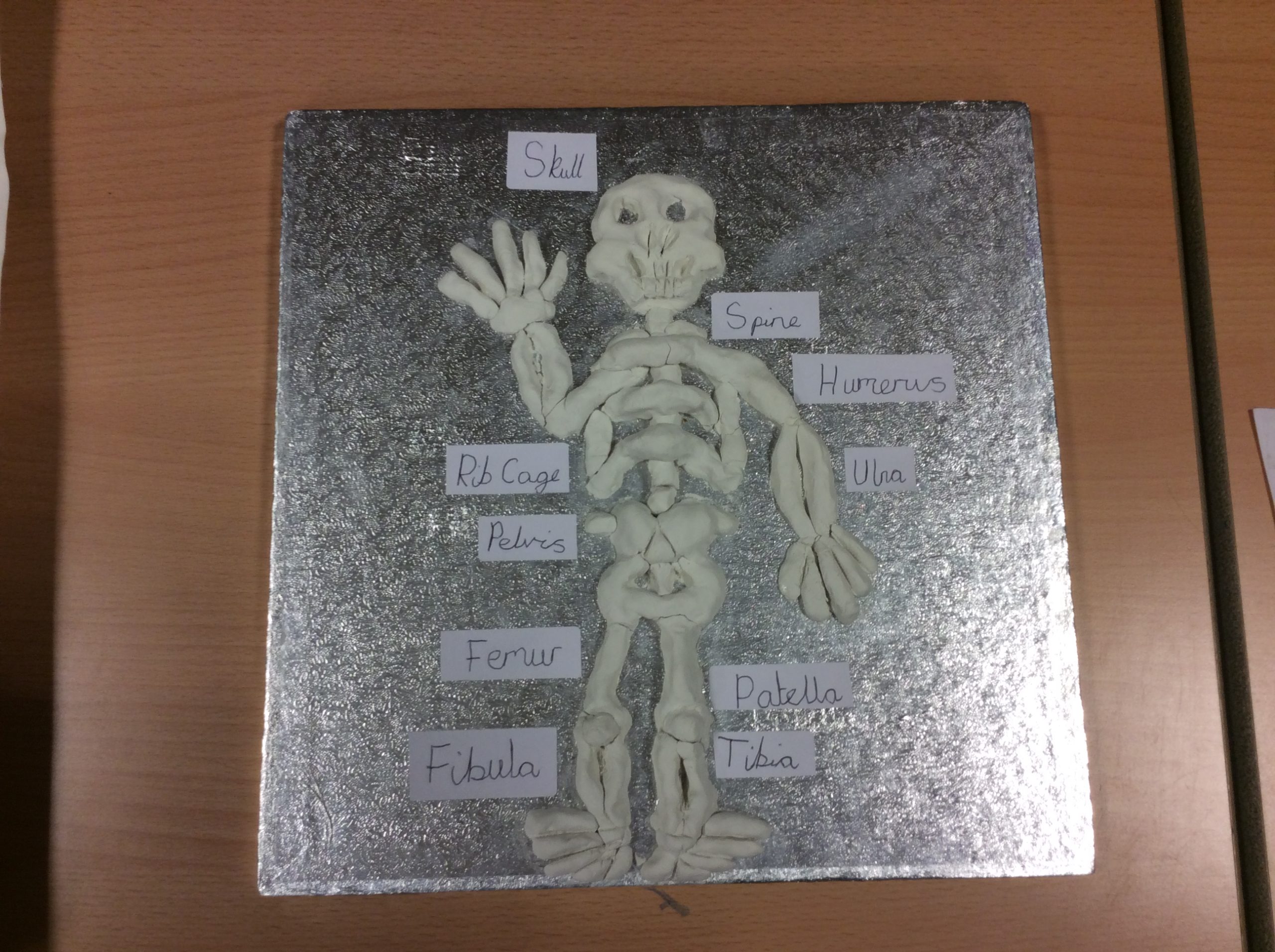 Squirrel Class - All Saints' CE