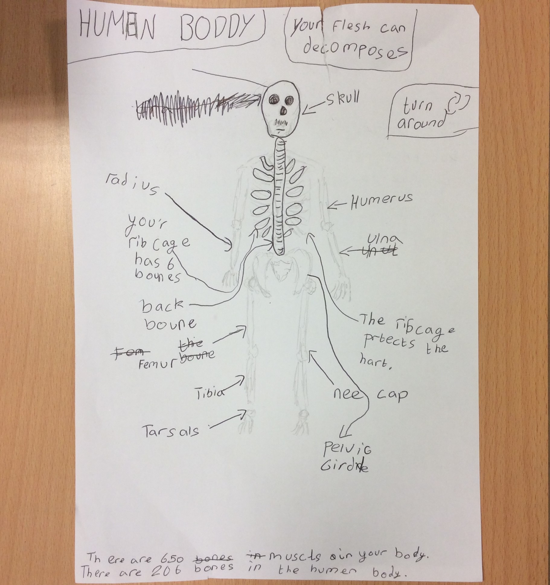 Squirrel Class - All Saints' CE