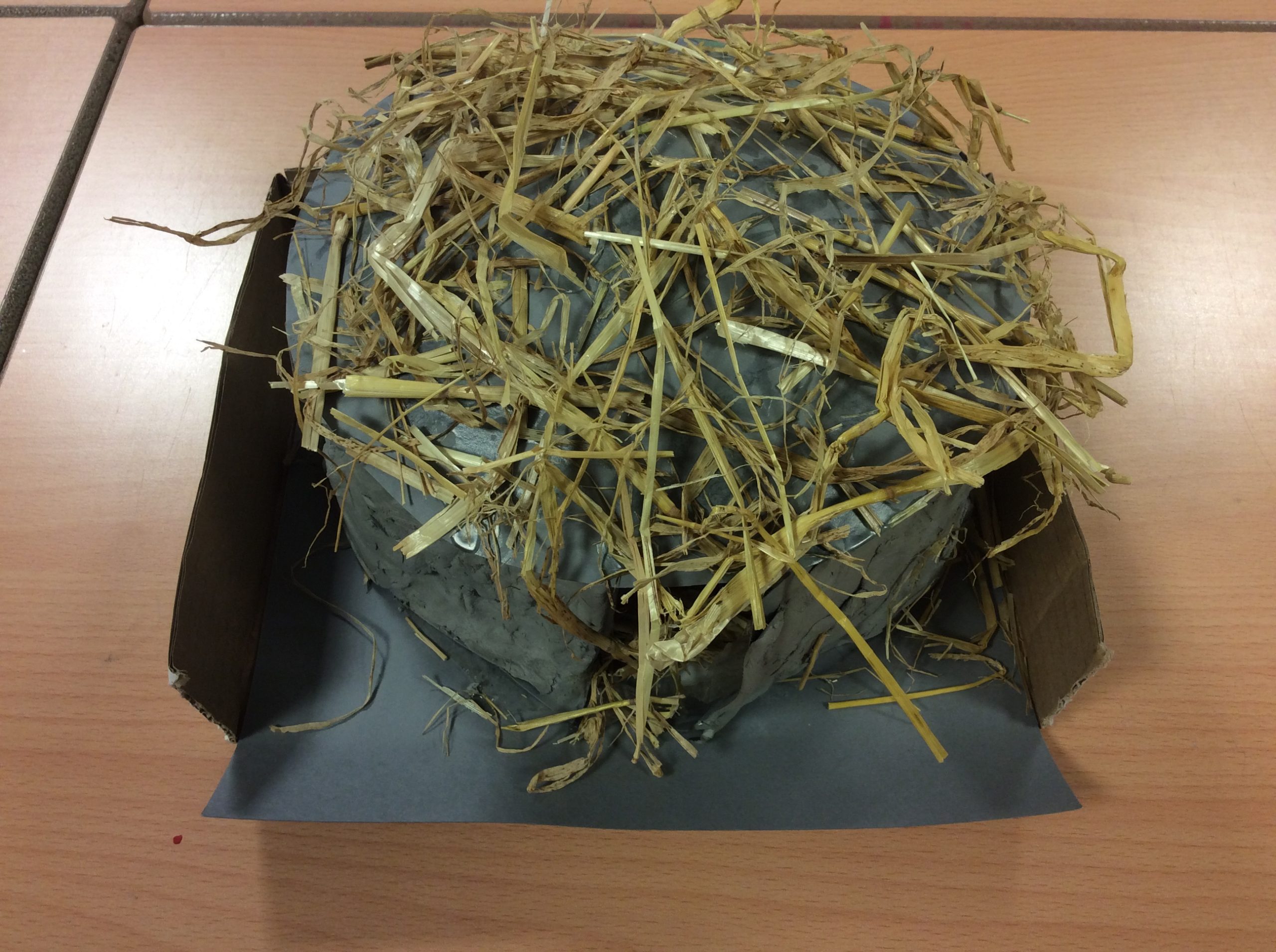 Squirrel Class - All Saints' CE