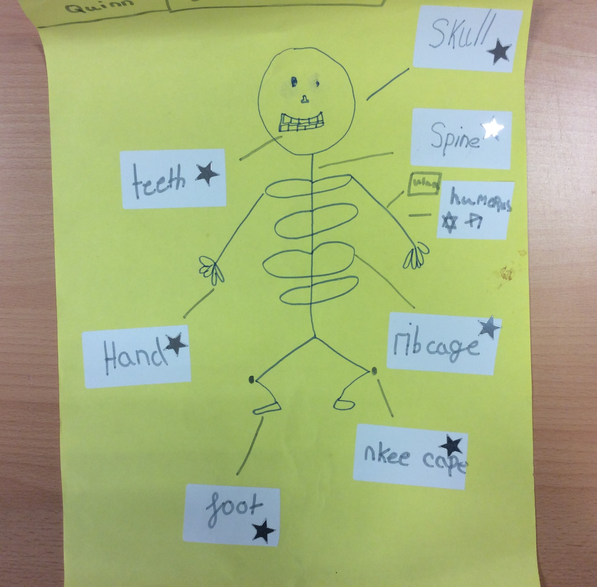 Squirrel Class - All Saints' CE