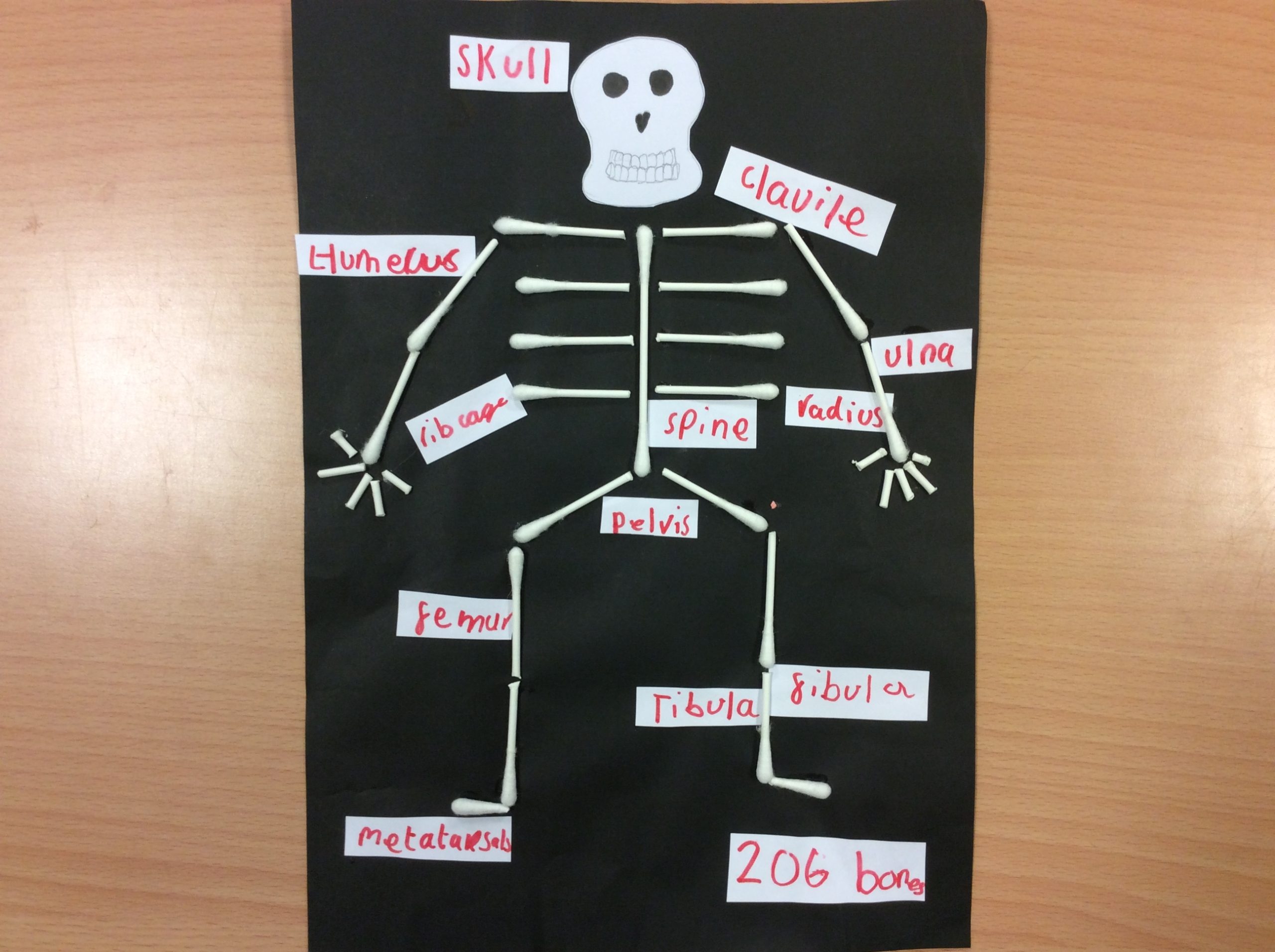 Squirrel Class - All Saints' CE