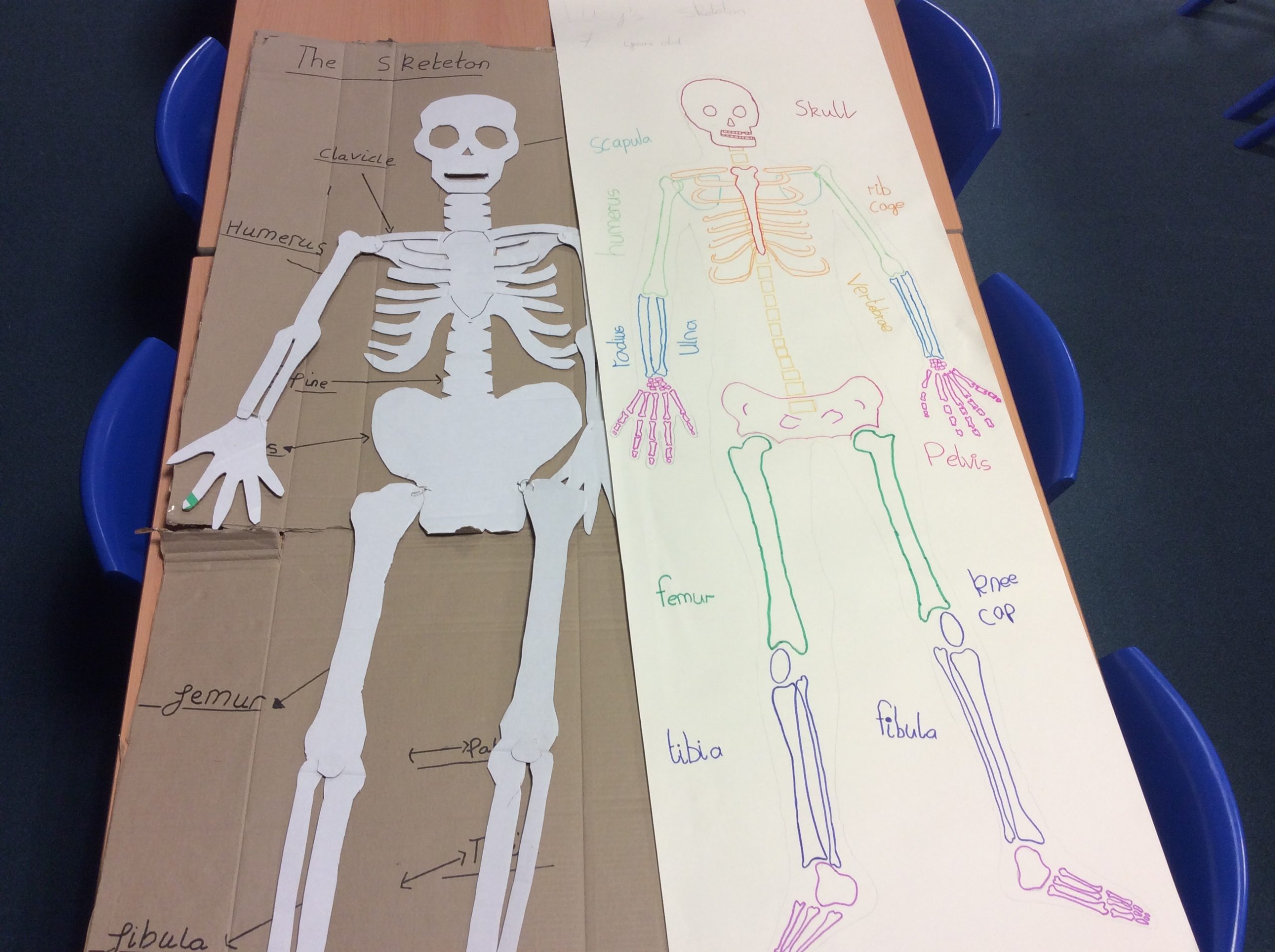 Squirrel Class - All Saints' CE